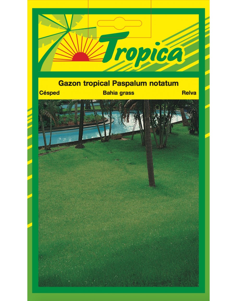 Bahia Grass Seeds By Tropica